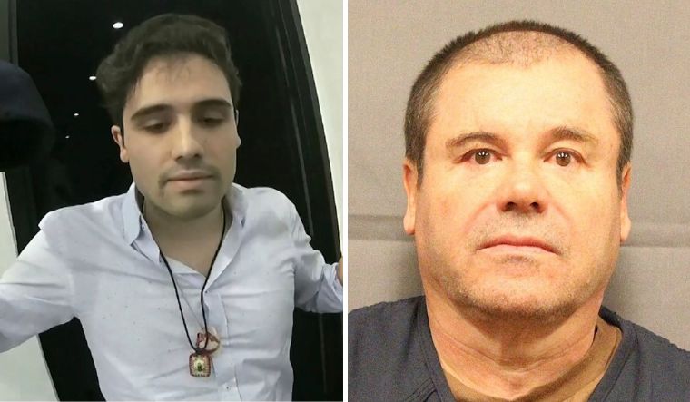 Who is Ovidio Guzman? Drug lord El Chapo's son extradited to US over fentanyl trafficking- The Week